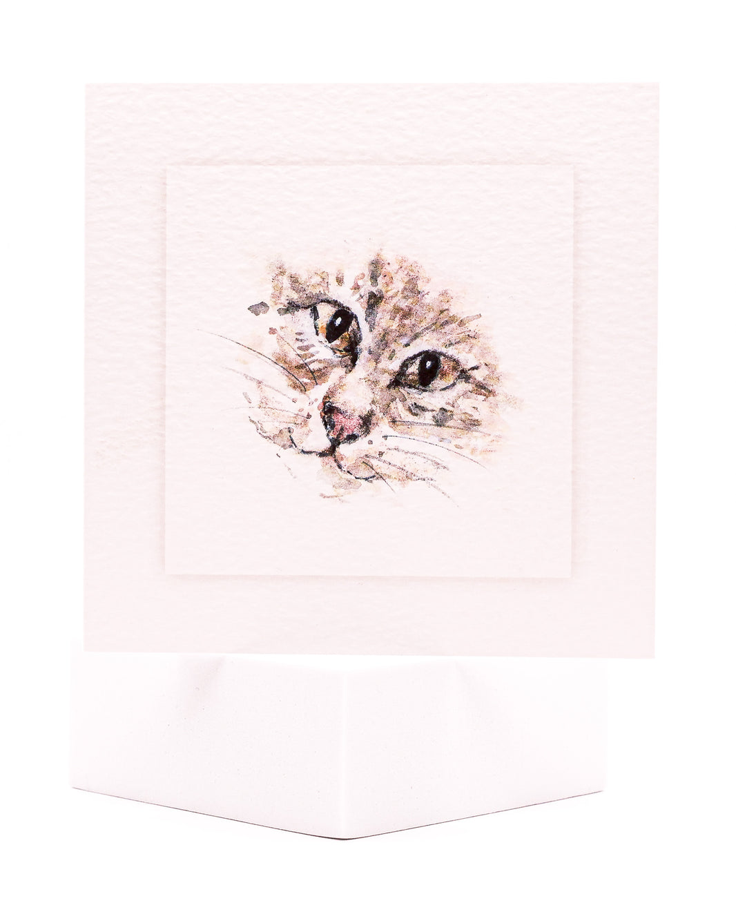 Cards – Sarah Brown Cards