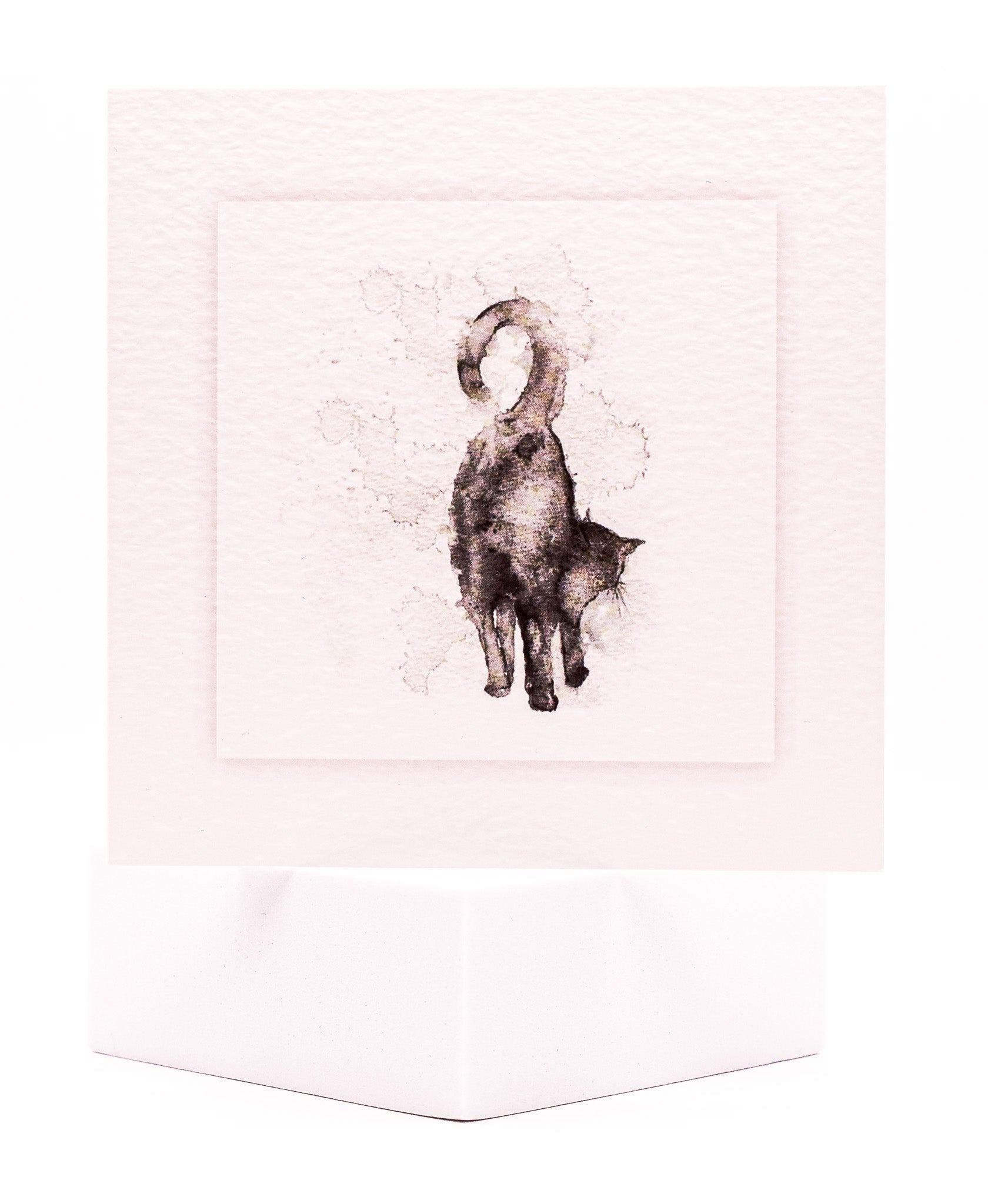 Cards – Sarah Brown Cards
