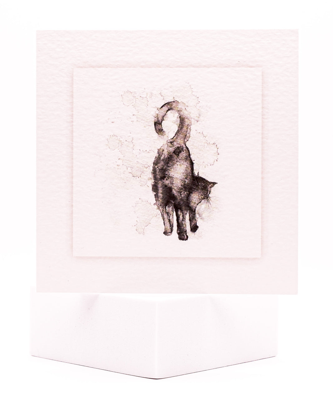 Cards – Sarah Brown Cards
