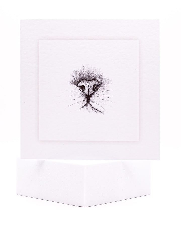 Cats – Sarah Brown Cards