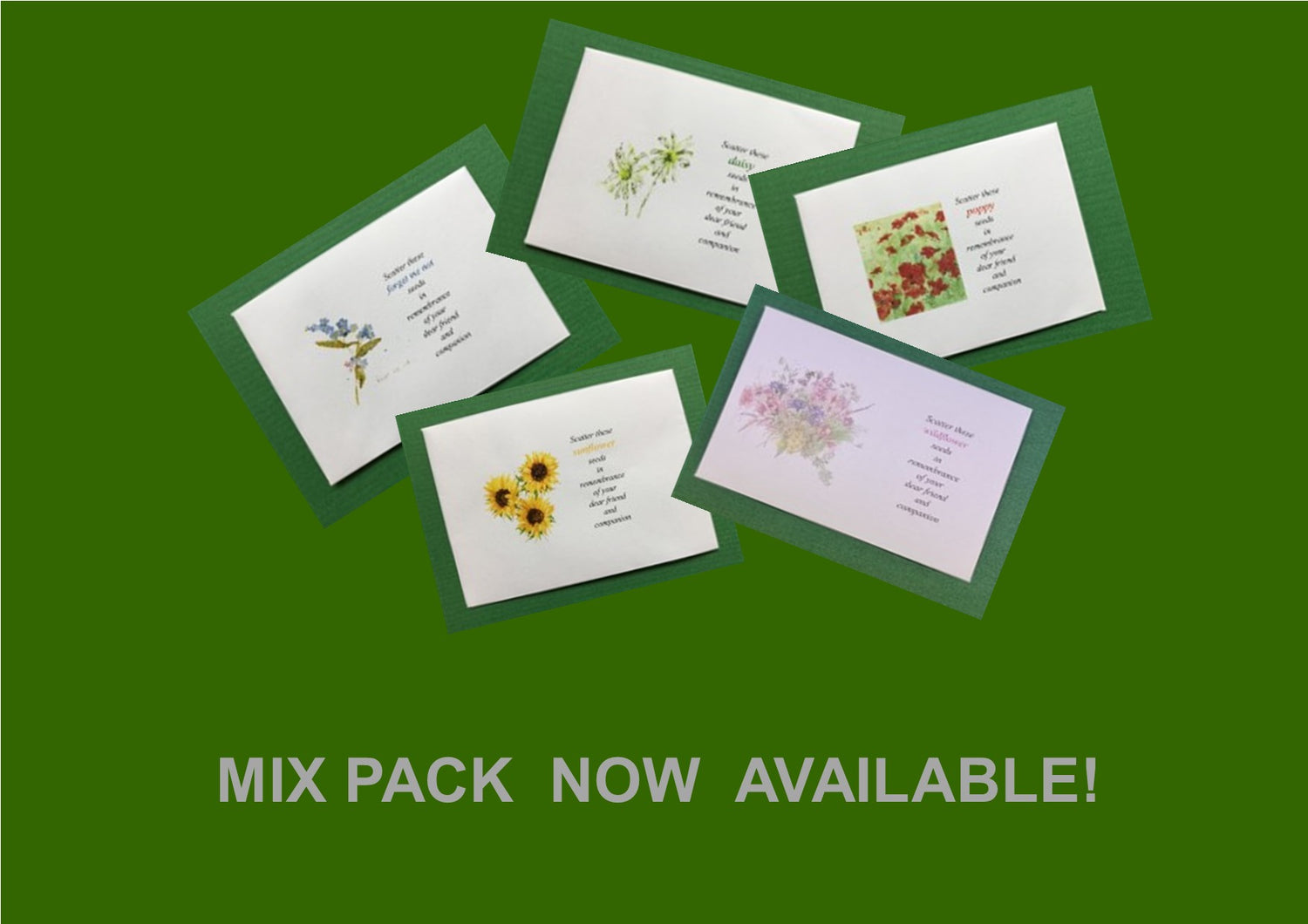 Sarah Brown Cards – Sarah Brown Cards